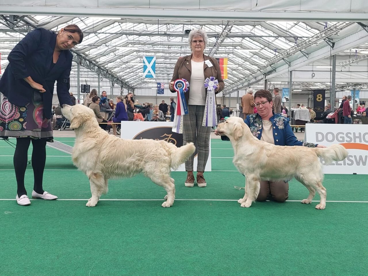 1 & 2 November 2025: Dogshow Bleiswijk (NL) | Welcome @ Tanishtagh